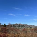 Massie Gap and Wilburn Ridge Loop, Virginia - 909 Reviews, Map | AllTrails