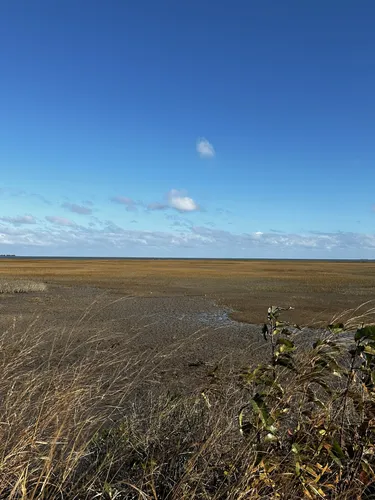 Best Hikes and Trails in Magothy Bay Natural Area Reserve | AllTrails