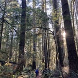 Ranger Hole Trail, Washington - 483 Reviews, Map | AllTrails