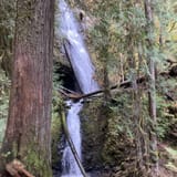 Murhut Falls Trail, Washington - 889 Reviews, Map | AllTrails