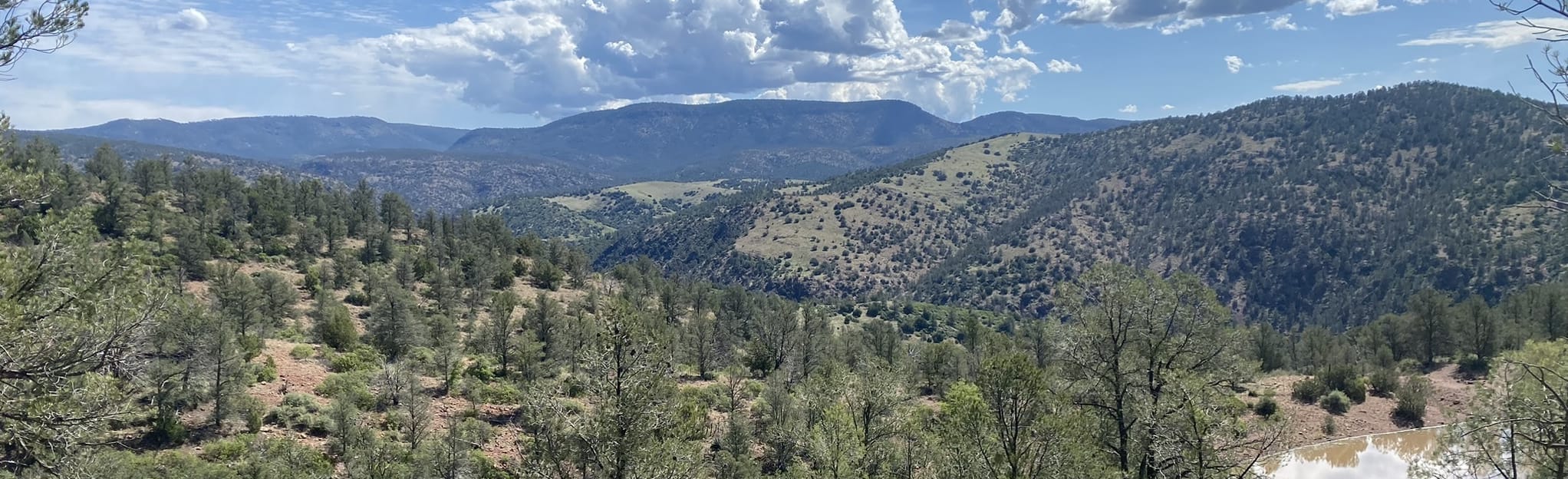 Hells Gate Trail, Arizona - 149 Reviews, Map | AllTrails