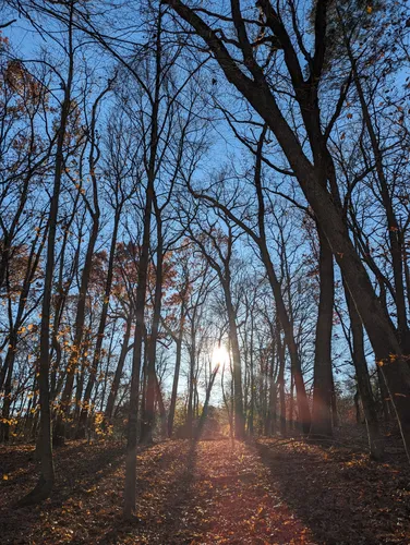 Best Hikes and Trails in Montgomery Pinetum Park | AllTrails