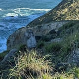 Point Reyes Lighthouse Visitor Center Trail, California - 637 Reviews ...