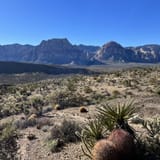 Fossil Ridge Loop, Nevada - 831 Reviews, Map | AllTrails