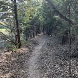 Corinth Community Park, Texas - 529 Reviews, Map | AllTrails