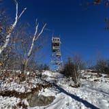 Red Hill Fire Tower Loop Trail, New Hampshire - 1,331 Reviews, Map ...