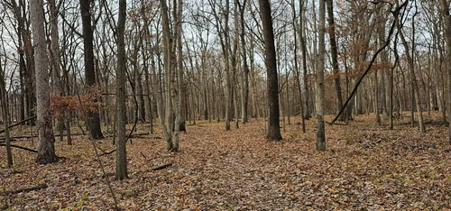 Best Hikes And Trails In Lincolns New Salem State Park Alltrails