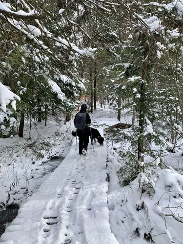 Best Hikes and Trails in Abercorn | AllTrails