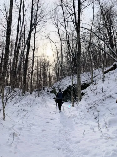 Best Hikes and Trails in Abercorn | AllTrails