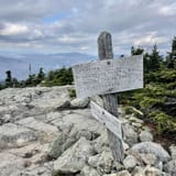 Mount Jackson Trail, New Hampshire - 1,871 Reviews, Map | AllTrails