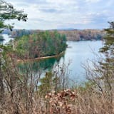 Raven Rock Loop Trail, South Carolina - 2,094 Reviews, Map | AllTrails