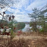 Raven Rock Loop Trail, South Carolina - 2,094 Reviews, Map | AllTrails