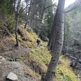 Ice House Canyon Trail, California - 1,668 Reviews, Map | AllTrails