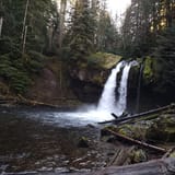 Iron Creek Falls Trail, Washington - 123 Reviews, Map | AllTrails
