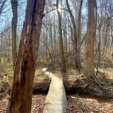 Bacon Ridge Trail: Phase 3, Maryland - 2,229 Reviews, Map | AllTrails