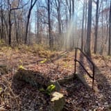 Bacon Ridge Trail: Phase 3, Maryland - 2,229 Reviews, Map | AllTrails