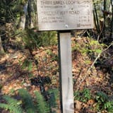 Echo Peak Loop Trail, Washington - 1,383 Reviews, Map | AllTrails