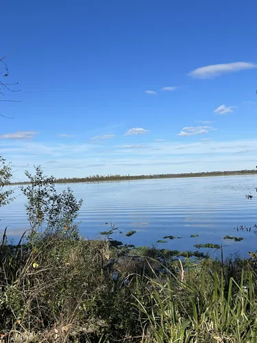 Best Hikes and Trails in Three Rivers State Park | AllTrails