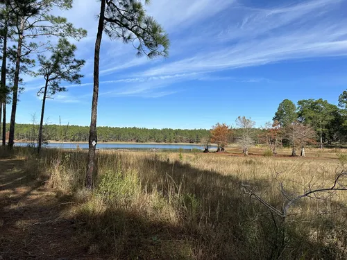 Best Hikes and Trails in Open Pond Recreation Area | AllTrails