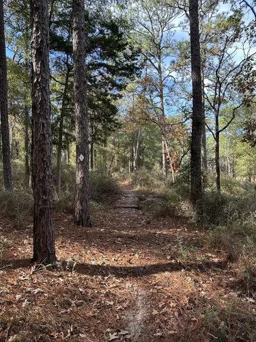 Best Hikes and Trails in Open Pond Recreation Area | AllTrails