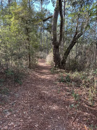 Best Hikes and Trails in Open Pond Recreation Area | AllTrails