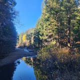 Jenkinson Lake Loop, California - 2,450 Reviews, Map | AllTrails