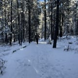 Silver Run Loop Trail, Montana - 567 Reviews, Map | AllTrails