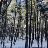 Silver Run Loop Trail, Montana - 567 Reviews, Map | AllTrails