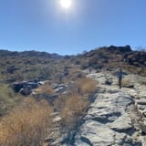 Mormon Loop and National Trail, Arizona - 2,508 Reviews, Map | AllTrails