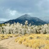 Medano Pass Primitive Road, Colorado - 243 Reviews, Map | AllTrails