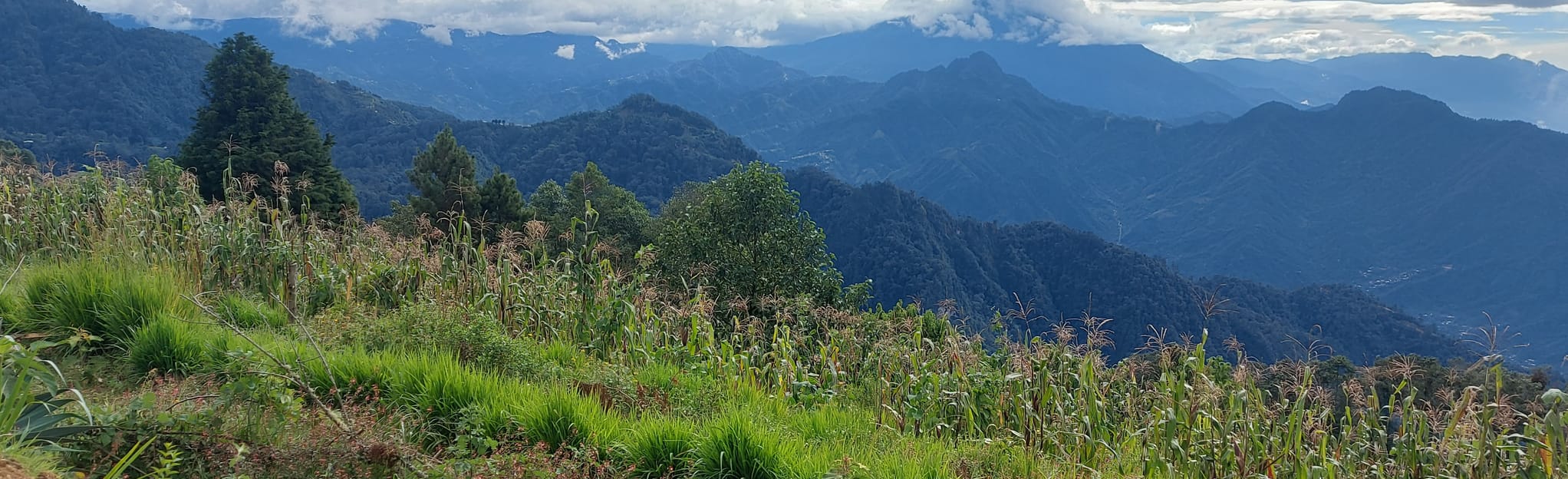 Volcán Tacaná, Chiapas, Mexico - 18 Reviews, Map | AllTrails