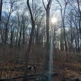 Pequest Wildlife Management Area Trails, New Jersey - 64 Reviews, Map ...