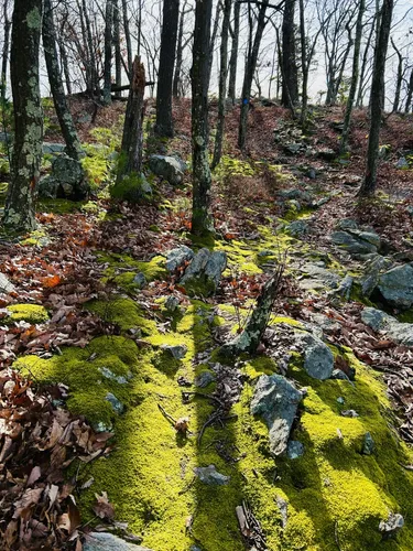 Best Hikes and Trails in Constitution Marsh Audubon Center and ...