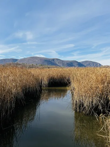 Best Hikes and Trails in Constitution Marsh Audubon Center and ...