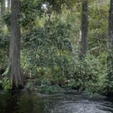 Loop Road Scenic Drive (County Road 94), Florida - 145 Reviews, Map ...