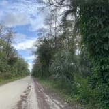 Loop Road Scenic Drive (County Road 94), Florida - 145 Reviews, Map ...