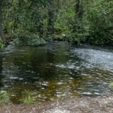 Loop Road Scenic Drive (County Road 94), Florida - 145 Reviews, Map ...