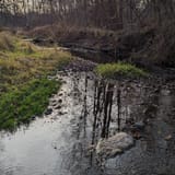 Martell Forest Loop, Indiana - 458 Reviews, Map | AllTrails