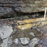 Tanyard Perimeter Loop, Arkansas - 2,486 Reviews, Map | AllTrails