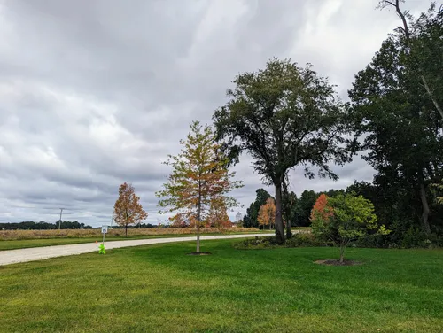 Best Hikes and Trails in Bohemia River State Park | AllTrails