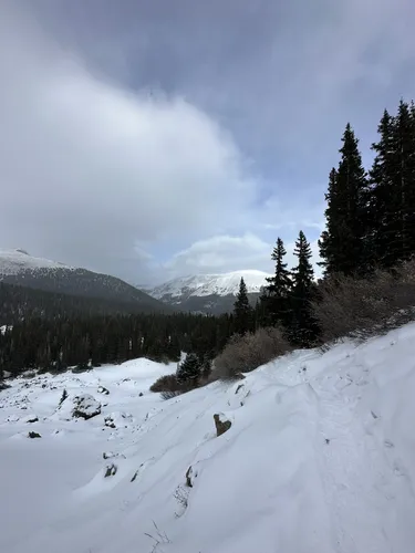Best Hikes and Trails in Guanella Pass | AllTrails