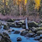 Staircase Rapids Loop, Washington - 2,364 Reviews, Map | AllTrails