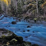 Staircase Rapids Loop, Washington - 2,364 Reviews, Map | AllTrails