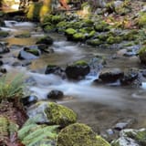 Staircase Rapids Loop, Washington - 2,364 Reviews, Map | AllTrails