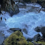 Staircase Rapids Loop, Washington - 2,364 Reviews, Map | AllTrails