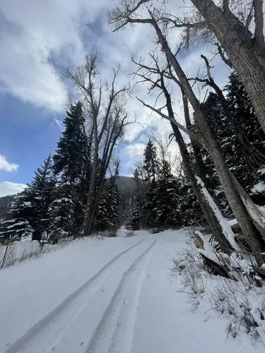 Best Off Road Driving Trails in Red River | AllTrails