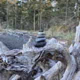 Cranberry Lake Trail, Washington - 165 Reviews, Map | AllTrails