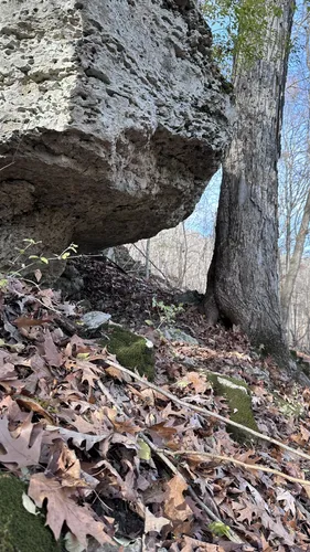 Best Hikes and Trails in Bluff View Park | AllTrails