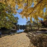 UC Davis Arboretum Trail, California - 1,120 Reviews, Map | AllTrails