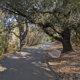 UC Davis Arboretum Trail, California - 1,120 Reviews, Map | AllTrails